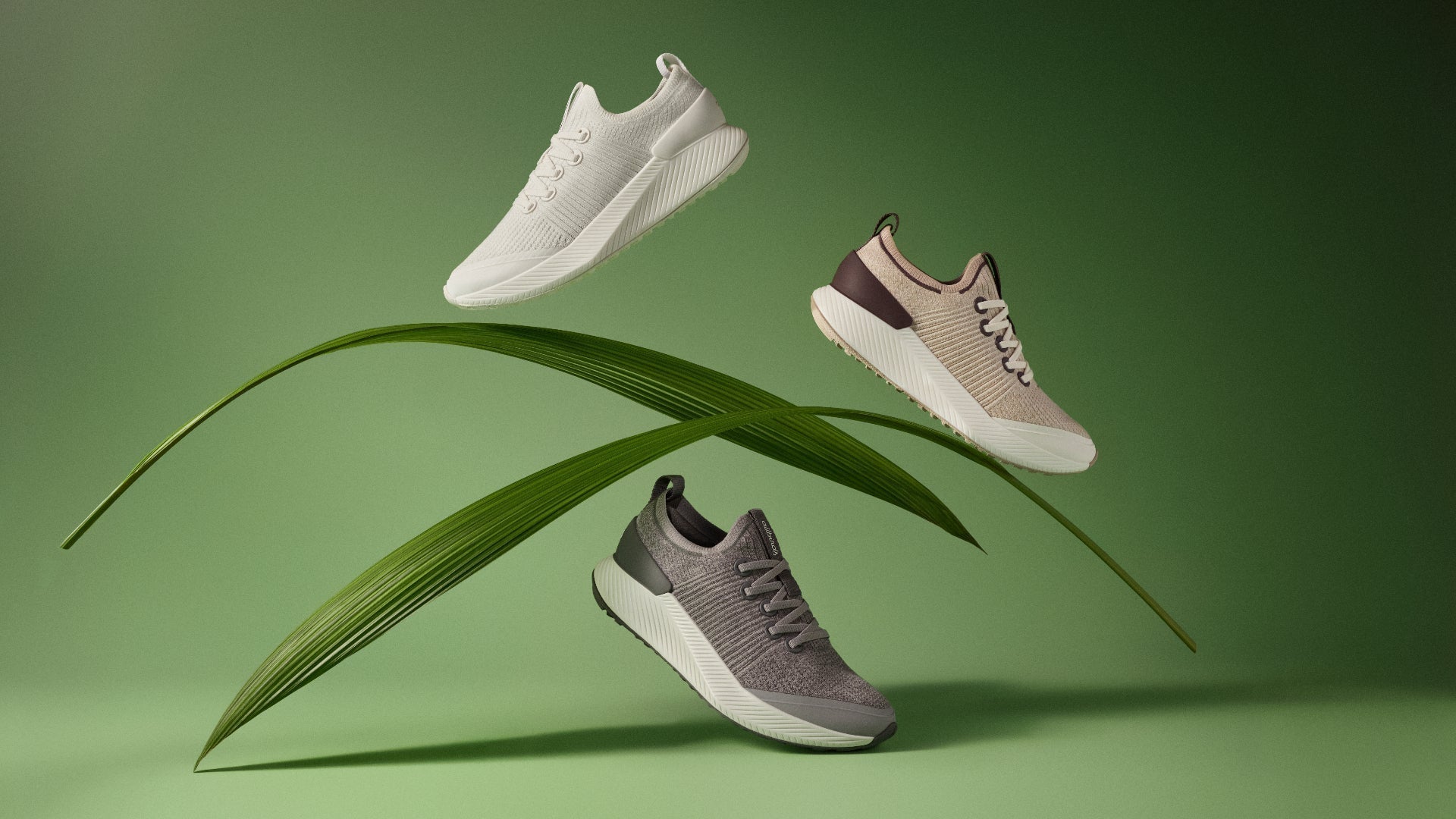 Meet the Tree Glider: A Shoe Made to Move With You - Allbirds